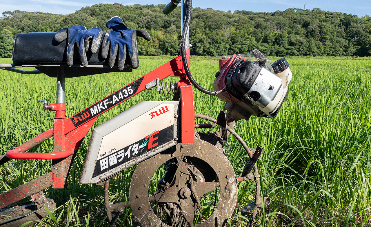 農作業と日常で活躍する偏光サングラス - TALEX トゥルービュースポーツ（85周年記念モデル）｜Heartfield